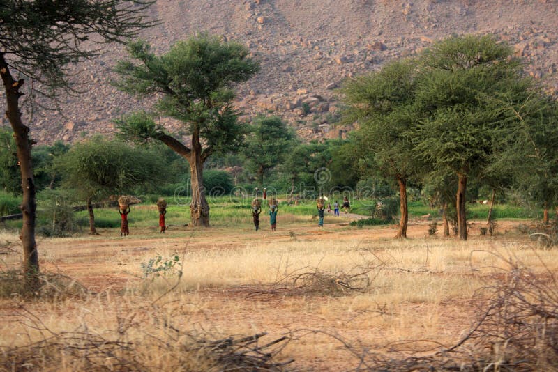 Village of Koma Tribe People at Alantika Mountain. Cameroon Editorial ...