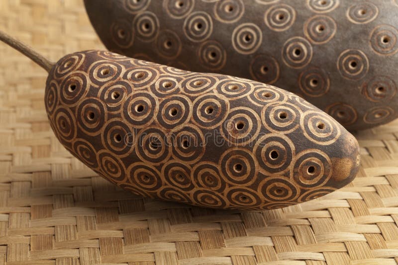 African Shekere stock image. Image of gourd, tradition - 25172059