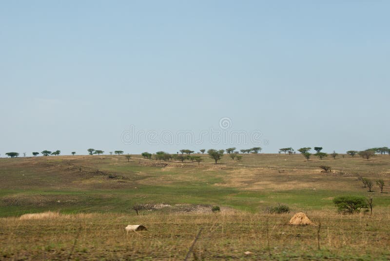African plains stock image. Image of african, open, savannah - 59529579