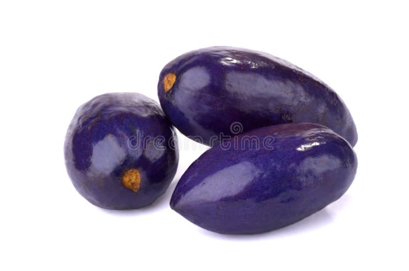 African Prunes stock image. Image of plum, saphou, africanum - 28059465