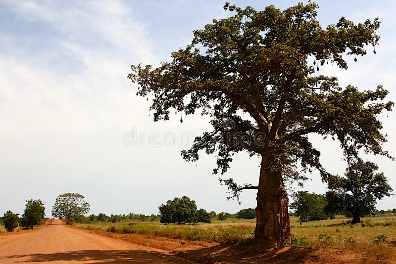 220+ African road Free Stock Photos - StockFreeImages