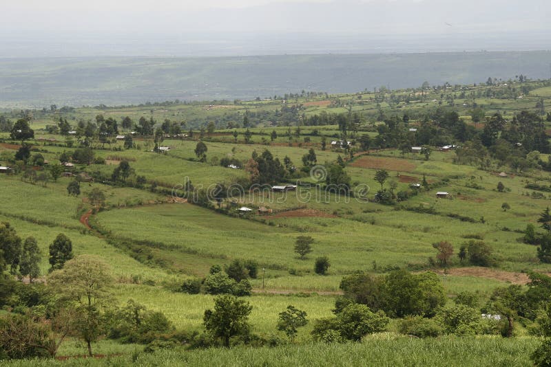 African Rural Landscape stock photo. Image of kenya, cultivation - 659458