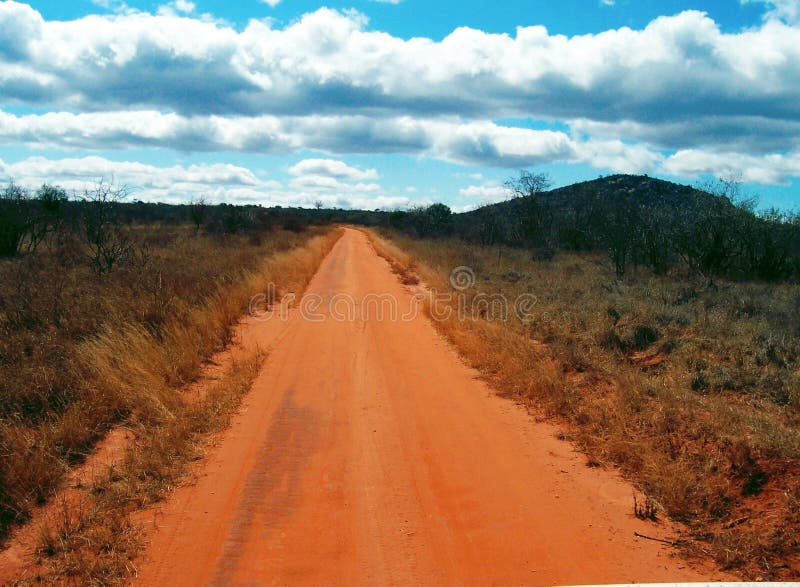 African S Road stock photo. Image of southern, shamwari - 2703398