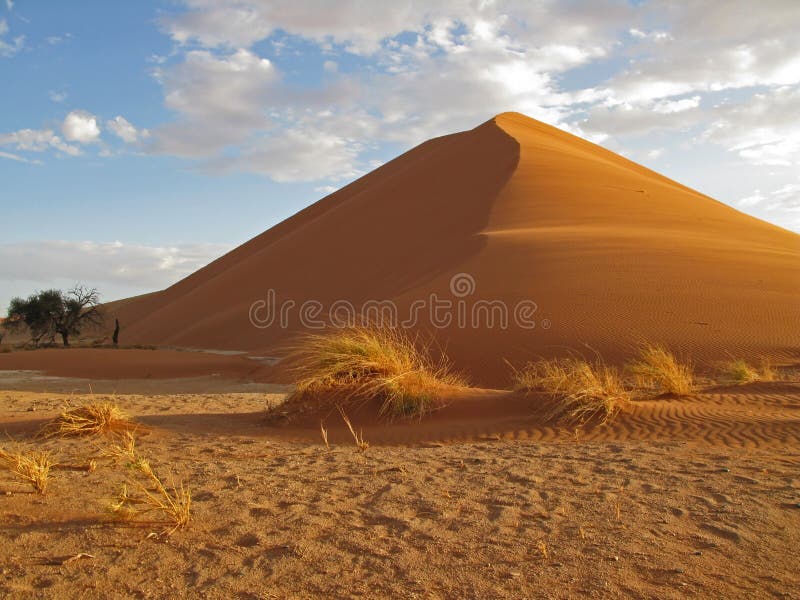 African sand dune stock image. Image of petrified, safari - 37279715