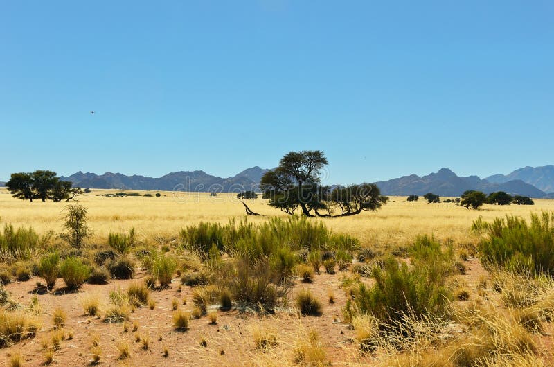 African savanna landscape stock photo. Image of mountains - 29144078