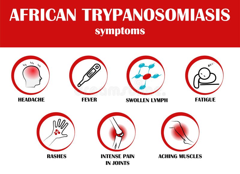 African Sleeping Sickness or African Trypanosomiasis Vector Icon Stock ...