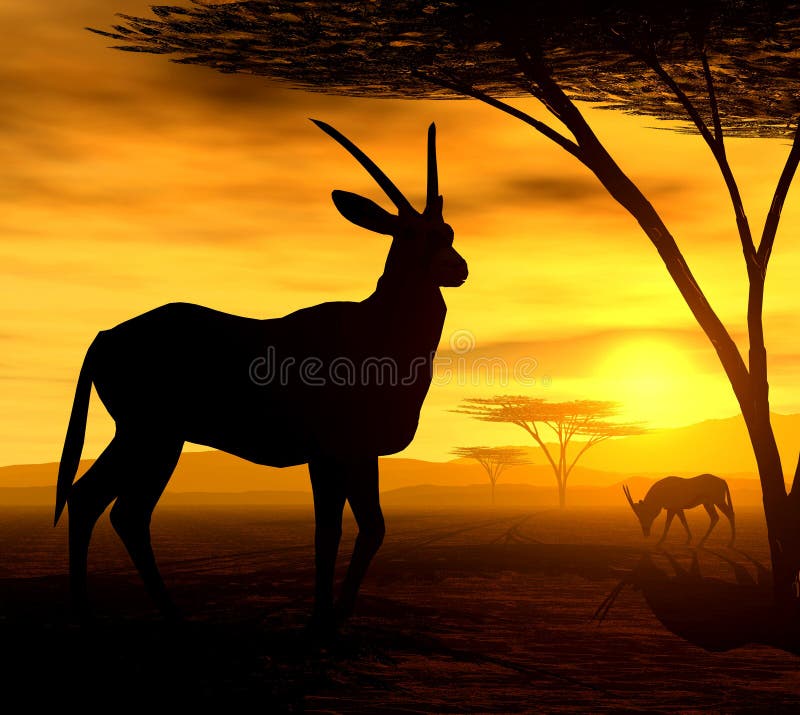 African Spirit - the Lions stock illustration. Illustration of ...