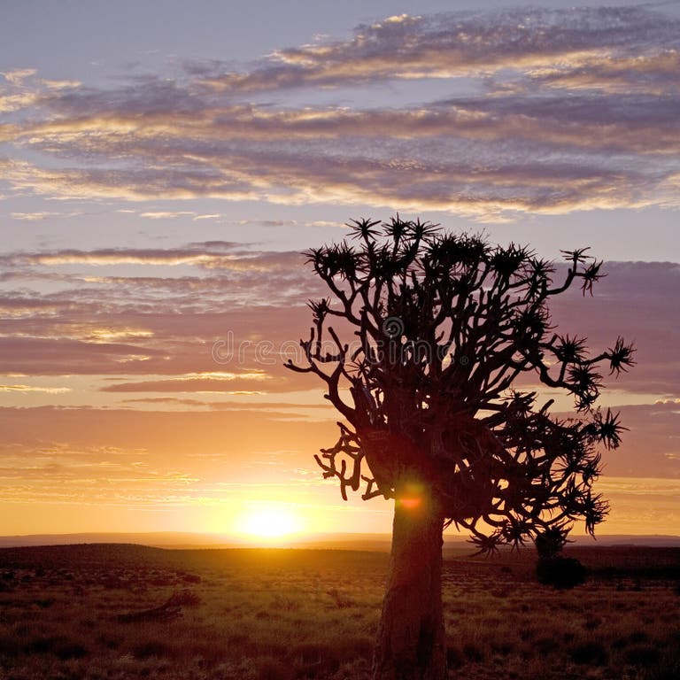 African sunrise stock photo. Image of african, holiday - 2819056