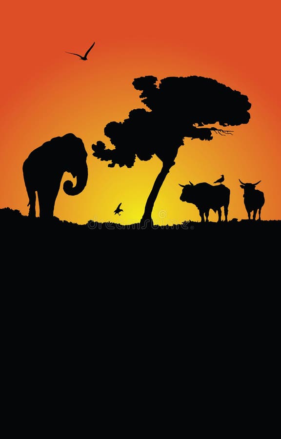 African Sunset Stock Illustrations – 19,640 African Sunset Stock ...