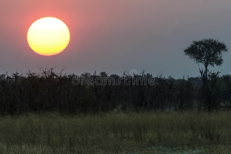 African sunset stock photo. Image of bush, savanna, background - 34805698