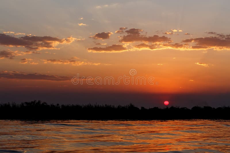 African Sunset with Acacia, Map of Africa Concept Stock Image - Image ...