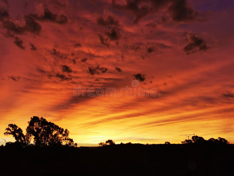 Golden African sunset stock photo. Image of scenic, african - 1729772