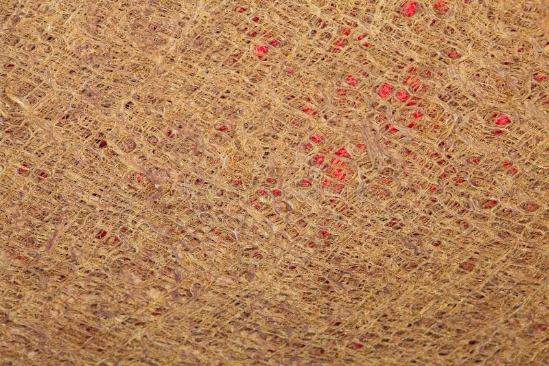 African Textile Fabric Made of Ficus Tree Bark. Stock Image - Image of ...