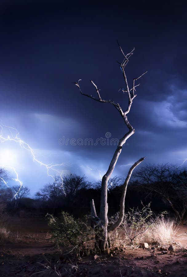 African Thunderstorm stock photo. Image of lightning - 19522984