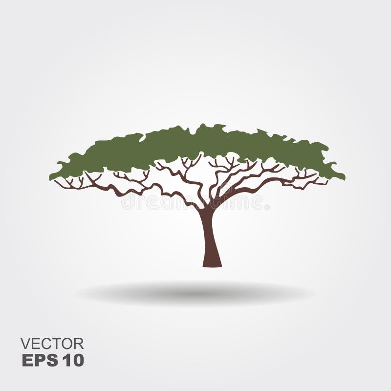 African Tree Icon, Acacia Tree Silhouette. Flat Ixon with Shadow Stock ...