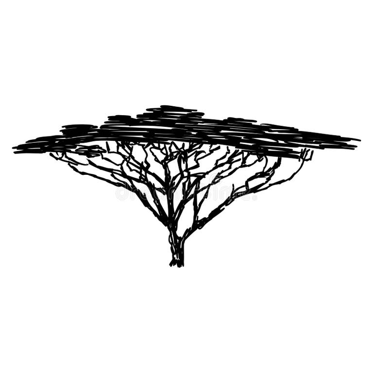African Tree Isolated Silhouette. Acacia Tree Silhouette Stock Vector ...