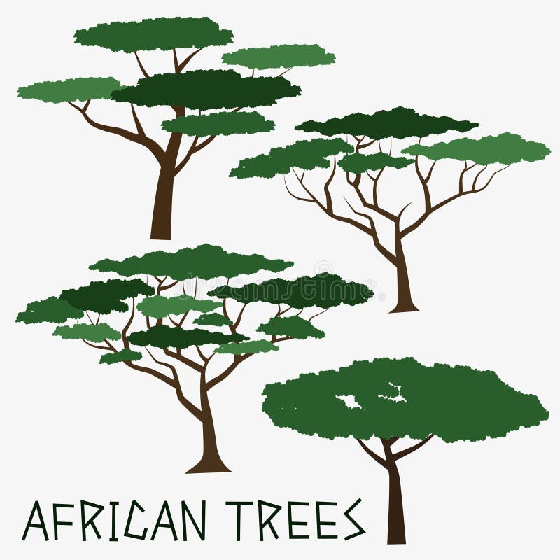 African Trees. Colored Silhouette of African Trees Stock Vector ...