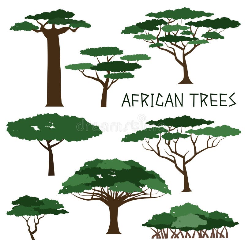 African Trees. Colored Silhouette of African Trees Stock Vector ...
