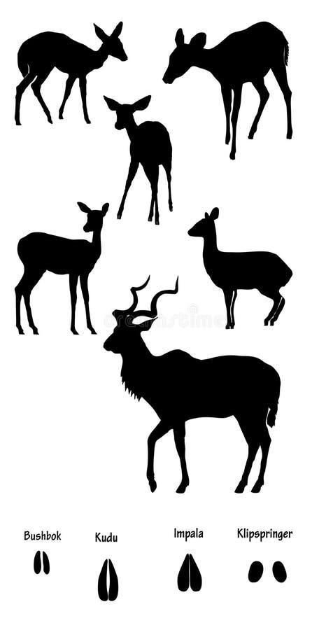 African Ungulates in Silhouette Stock Illustration - Illustration of ...