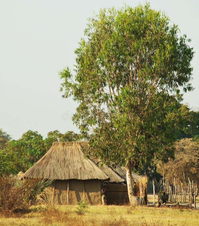African village stock image. Image of view, huts, environment - 13171577