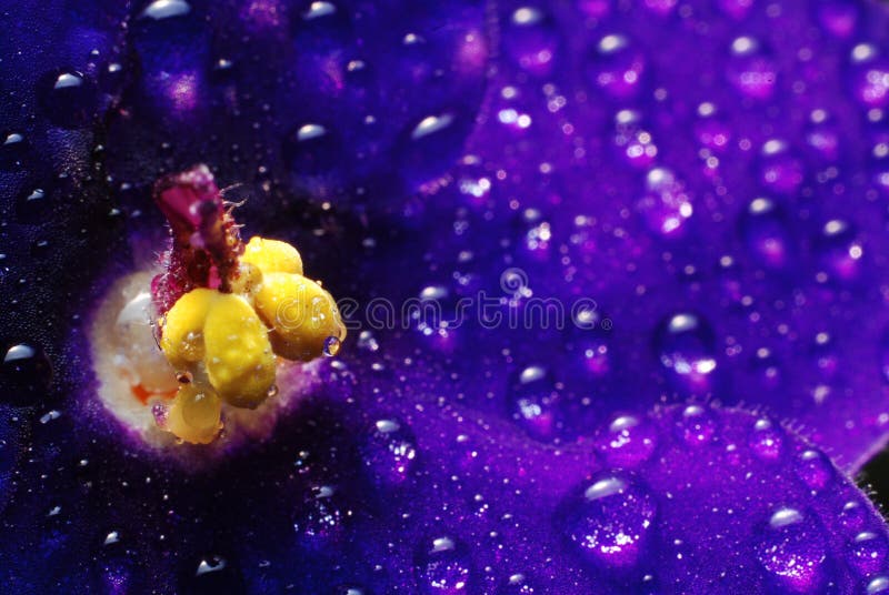 Water Droplets from Fountain Stock Photo - Image of droplets, fountain ...