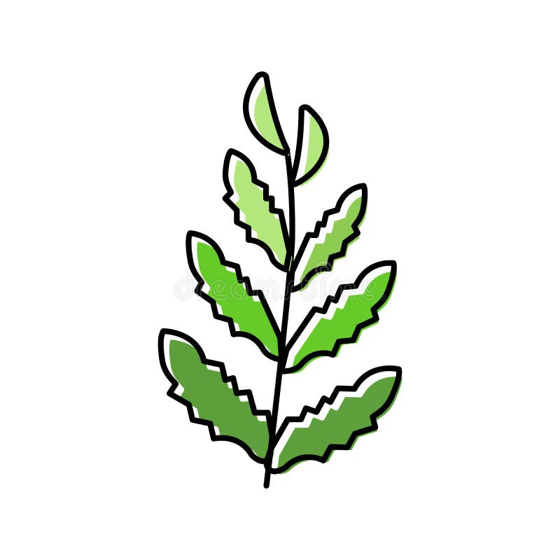 African Water Fern Color Icon Vector Illustration Stock Vector ... African Water Fern Color Icon Vector Illustration Stock Vector ...