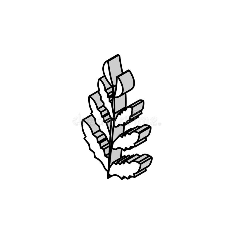 African Water Fern Isometric Icon Vector Illustration Stock Vector ... African Water Fern Isometric Icon Vector Illustration Stock Vector ...