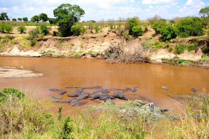 African Wilderness Landscape Stock Image - Image of dryness, ground ...