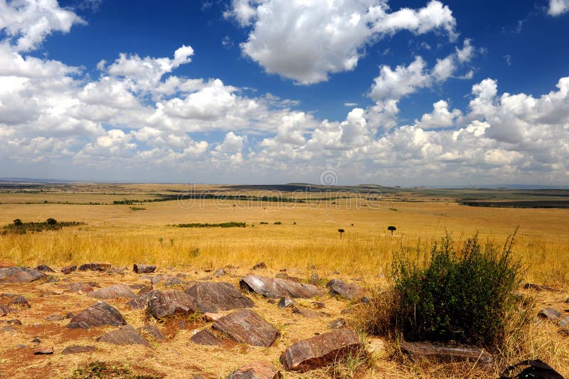 African Wilderness Landscape Stock Photo - Image of dark, path: 26498006