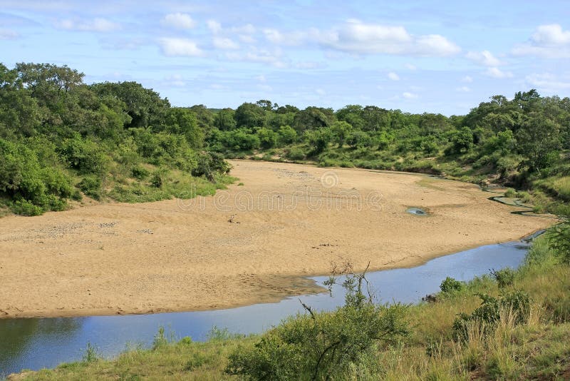 African wilderness stock photo. Image of beauty, safari - 31120818