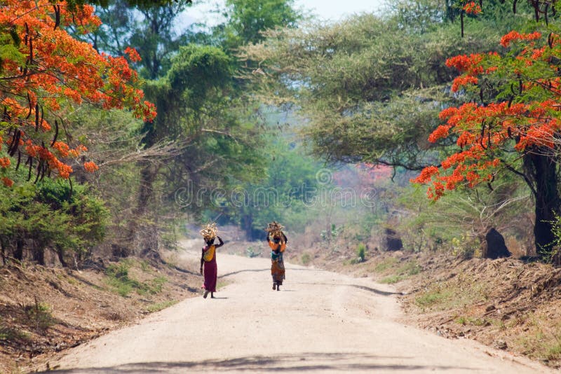 African woman walking editorial stock photo. Image of landscape - 27921693