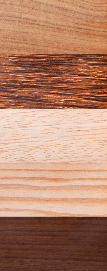 African Wood Carving stock photo. Image of crafts, divided - 519848