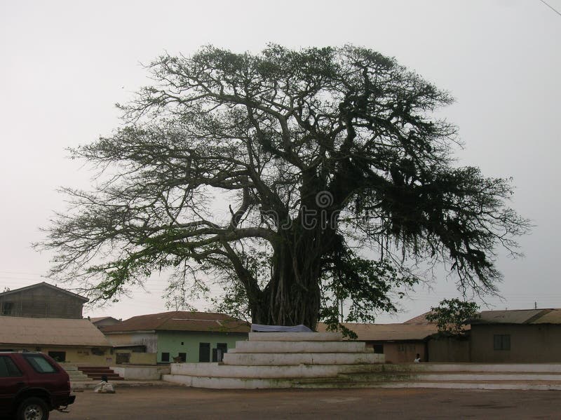 Radik131 - Photographer profile