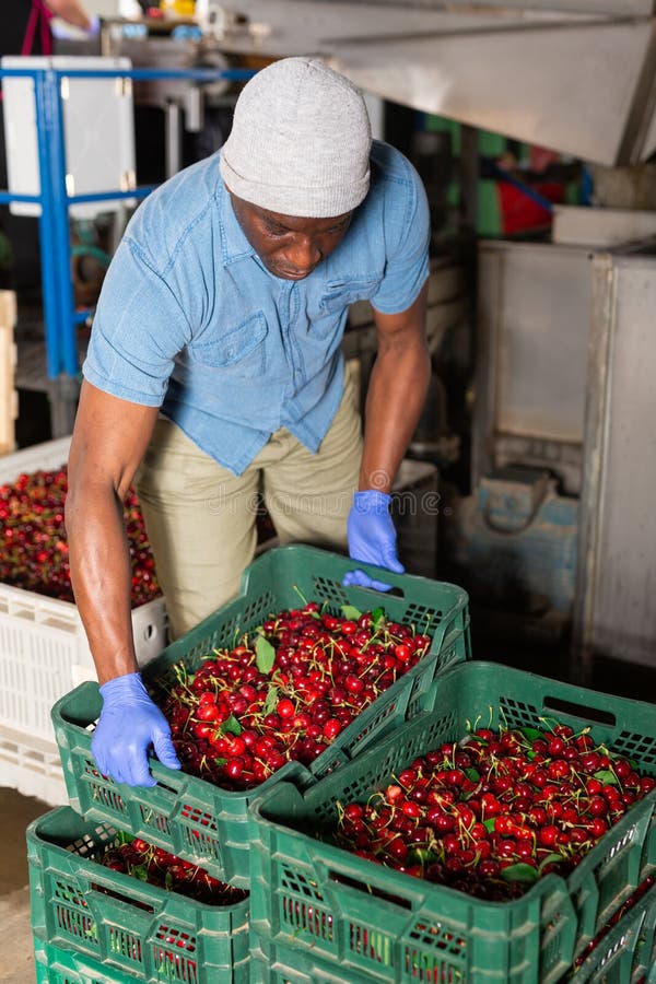 A Worker in a Cherry-picker Stock Image - Image of labor, wash: 9732457