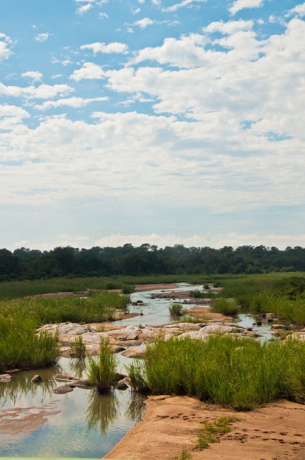 Die afrikanische Savanne stockfoto. Bild von reise, betrieb - 7944392