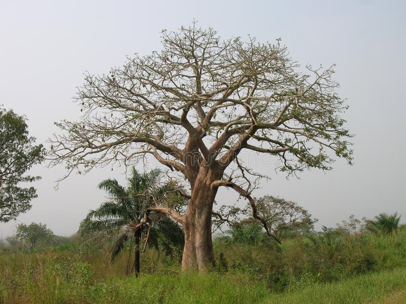Afrikanisches Holz stockfoto. Bild von maschine, symbol - 80728180
