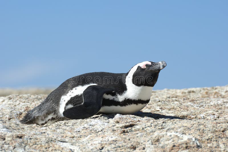 Sphotography (Sphotography) - Photos