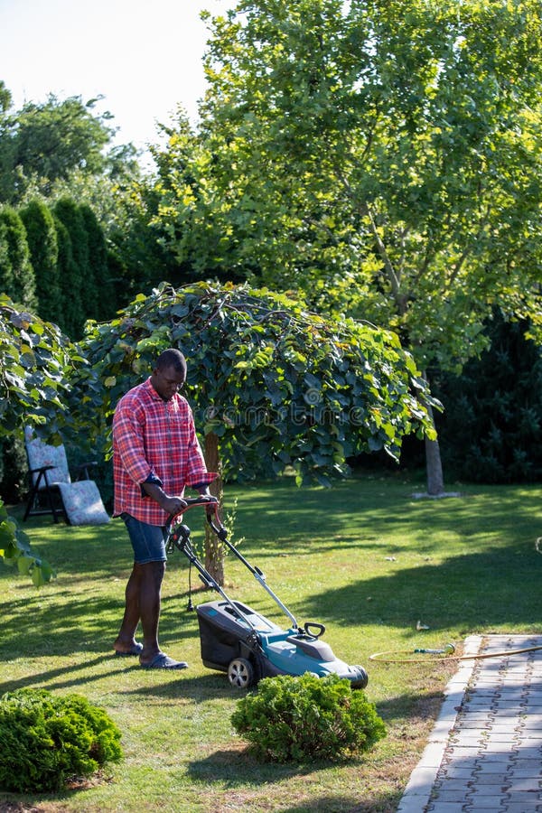 Afro American Man Cutting Grass in Yard in Summertime Stock Photo ...