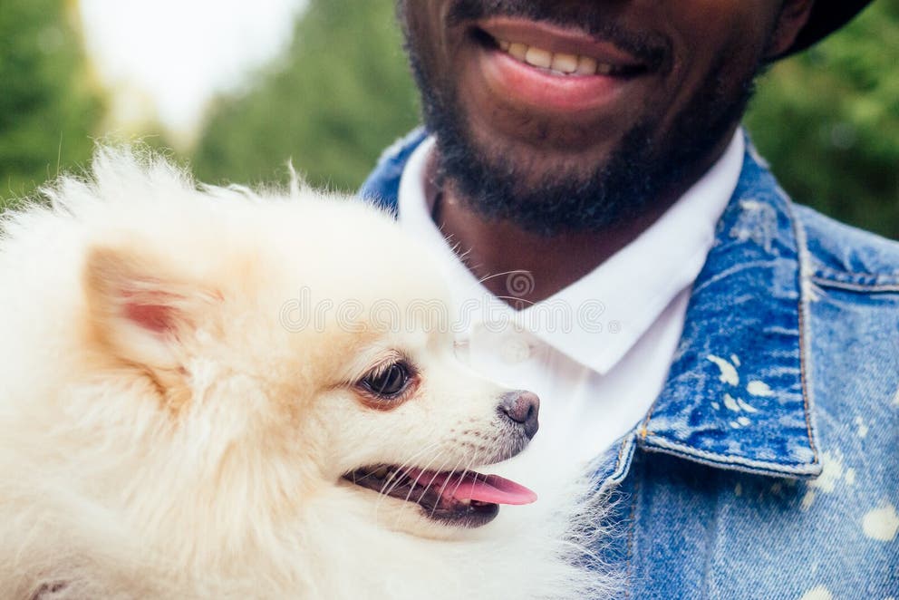 Afro Man Hugging His Fluffy Spitz in Park Stock Image - Image of funny ...