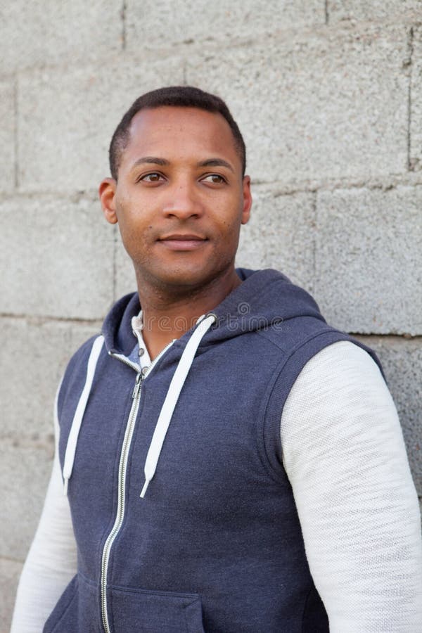 103 American Shorthair White Wall Stock Photos - Free & Royalty-Free ...