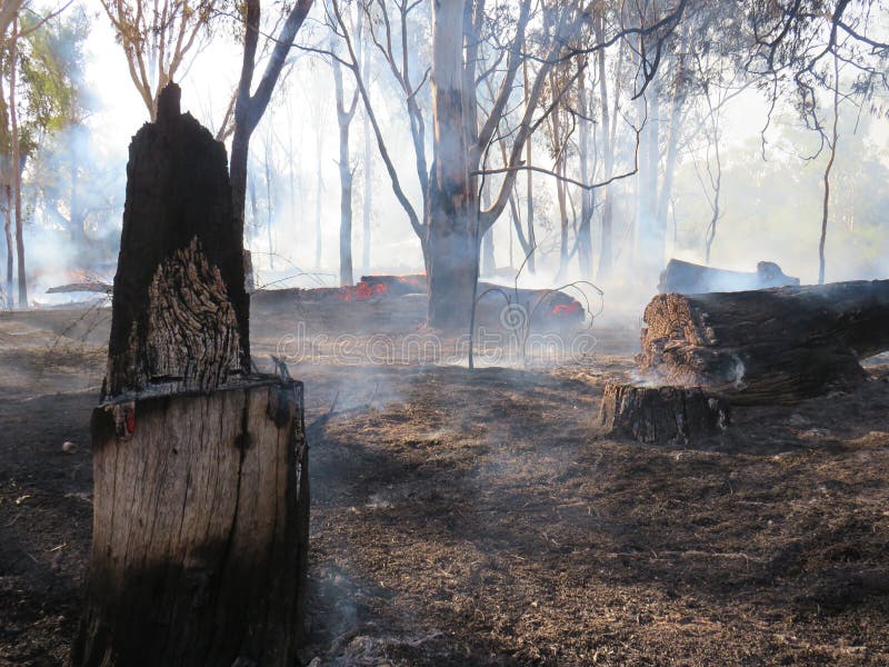 Aftermath stock photo. Image of victoria, aftermath - 143184754