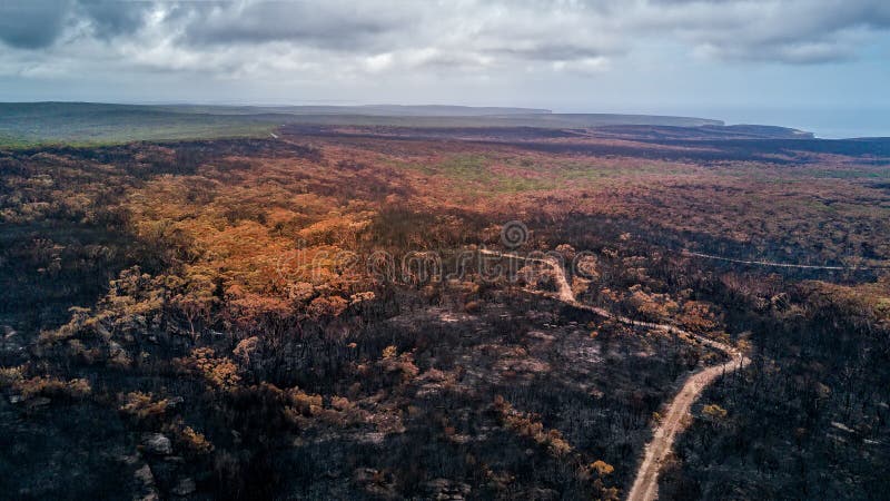 Burnt Landscape Bush Fire Aftermath Stock Photo - Image of wilderness ...