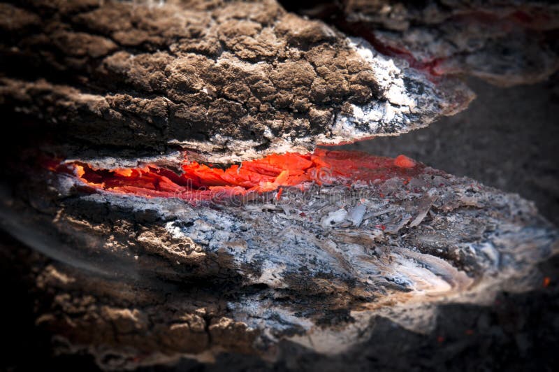 Aftermath of Fire stock image. Image of nature, queensland - 90009993
