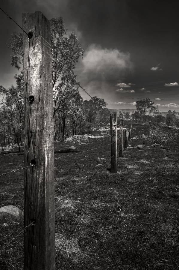 Aftermath of Fire stock photo. Image of queensland, outback - 90010056