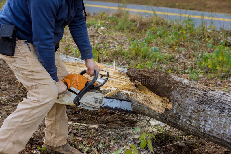In the Aftermath of a Hurricane, a Worker Sawed Trees after a Hurricane ...