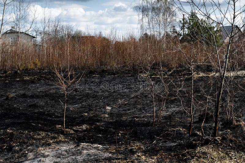 493 Charred Land Stock Photos - Free & Royalty-Free Stock Photos from ...