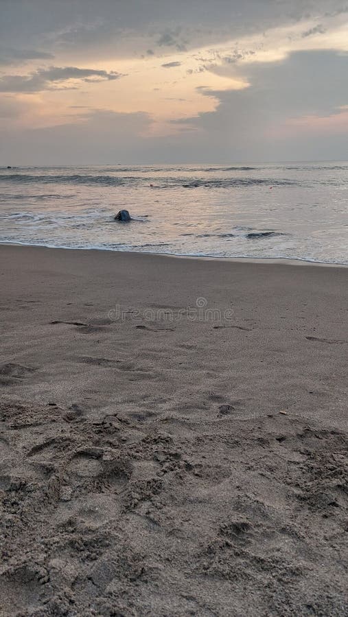 Afternoon Beach in Anyer Indonesia Stock Image - Image of anyer ...