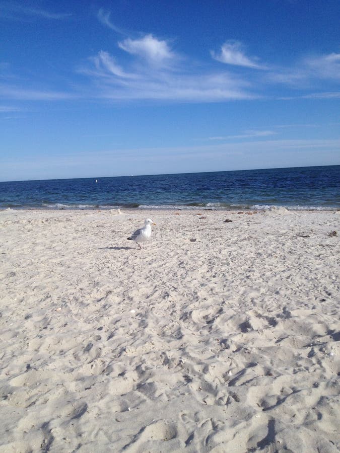 Afternoon on a beach stock photo. Image of afternoon - 96972466