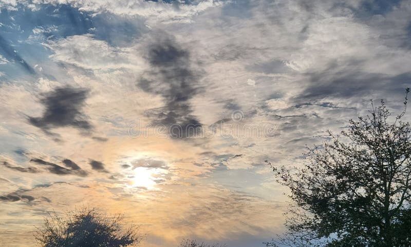 A afternoon beautiful stock photo. Image of nature, dusk - 307587798