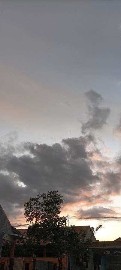 Afternoon Cloud Sky Dark Sunset Tree Stock Image - Image of sunset, sunsettree: 373618719